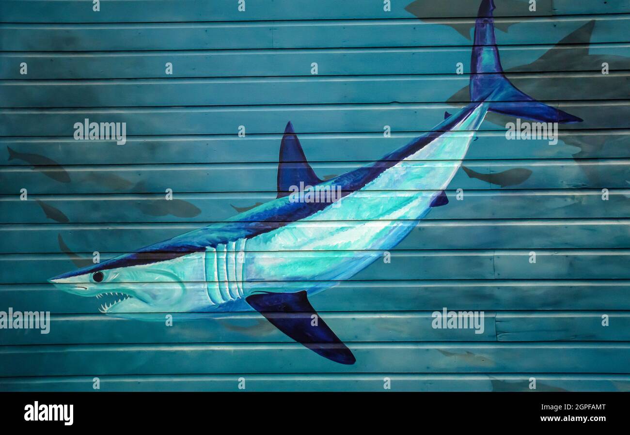 Orlando, Florida. September 28, 2021. Beautiful painting of Mako shark ...