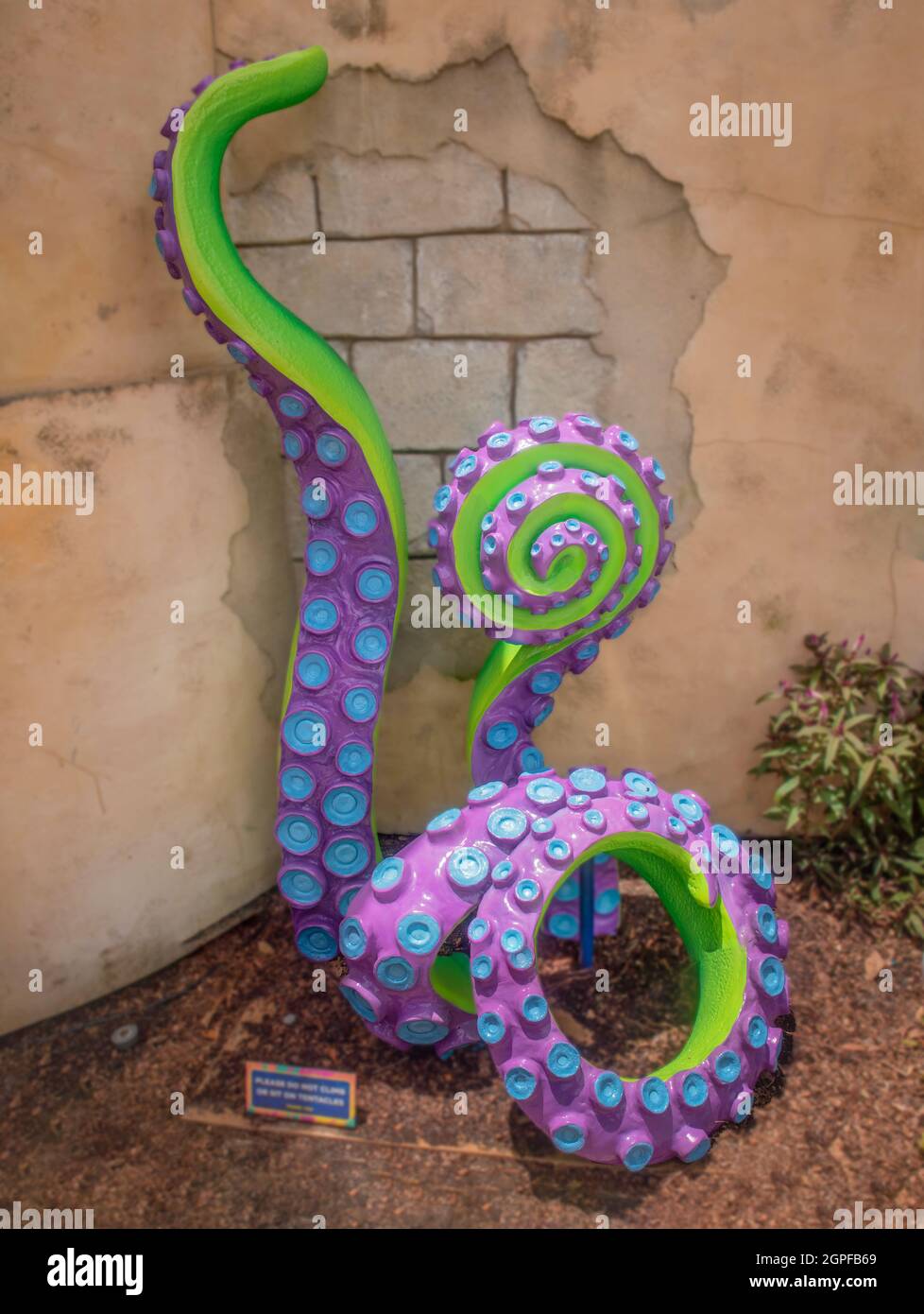Orlando, Florida. September 28, 2021. Octopus Tentacle at Seaworld ...
