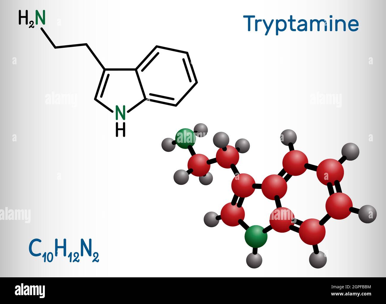 Tryptamine molecule. It is alkaloid, aminoalkylindole. Structural ...