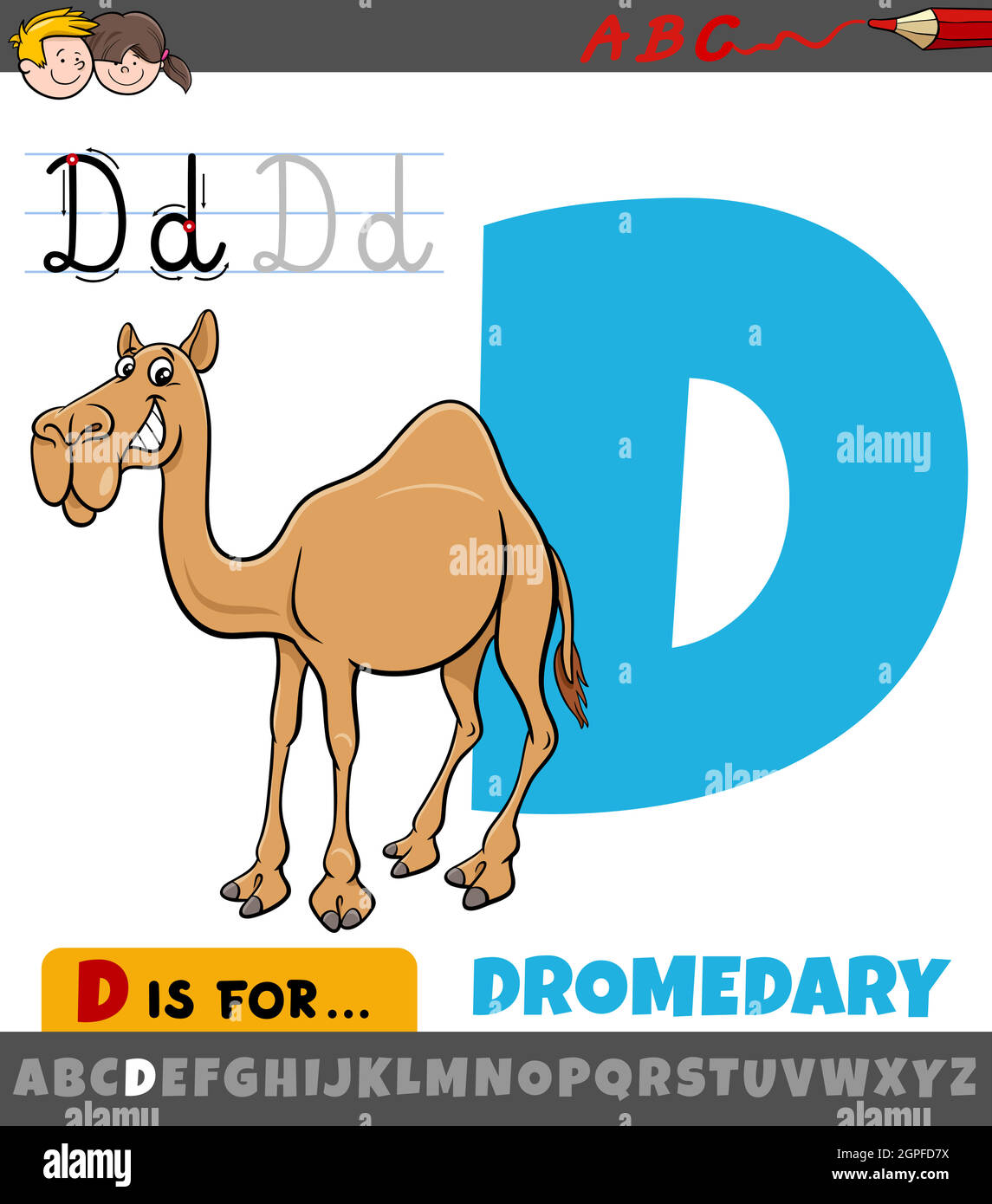 letter D from alphabet with cartoon dromedary animal Stock Vector Image ...