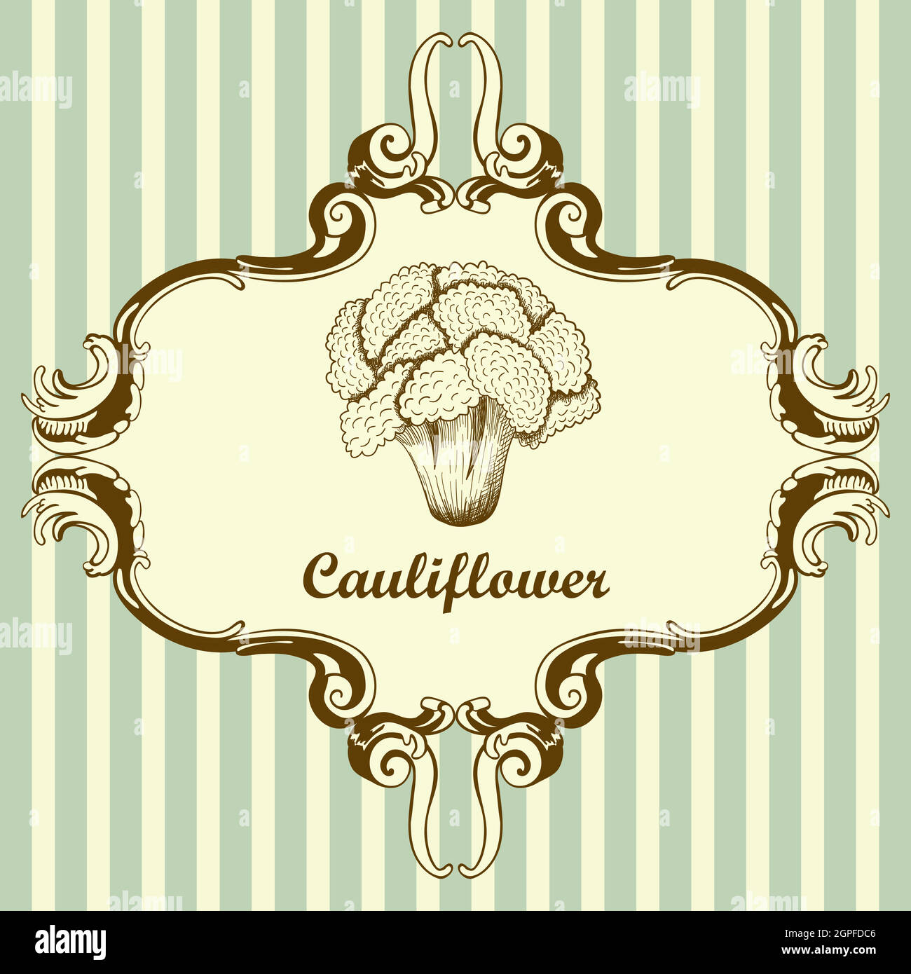 Fresh cauliflower broccoli on Stock Vector Images - Alamy