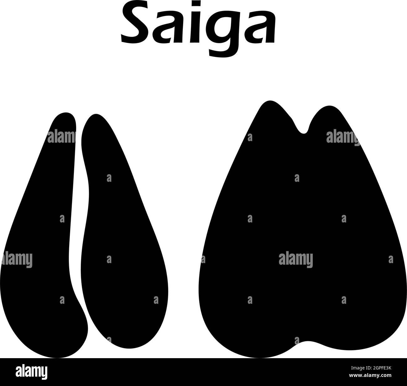 Herd of saiga Cut Out Stock Images & Pictures - Alamy