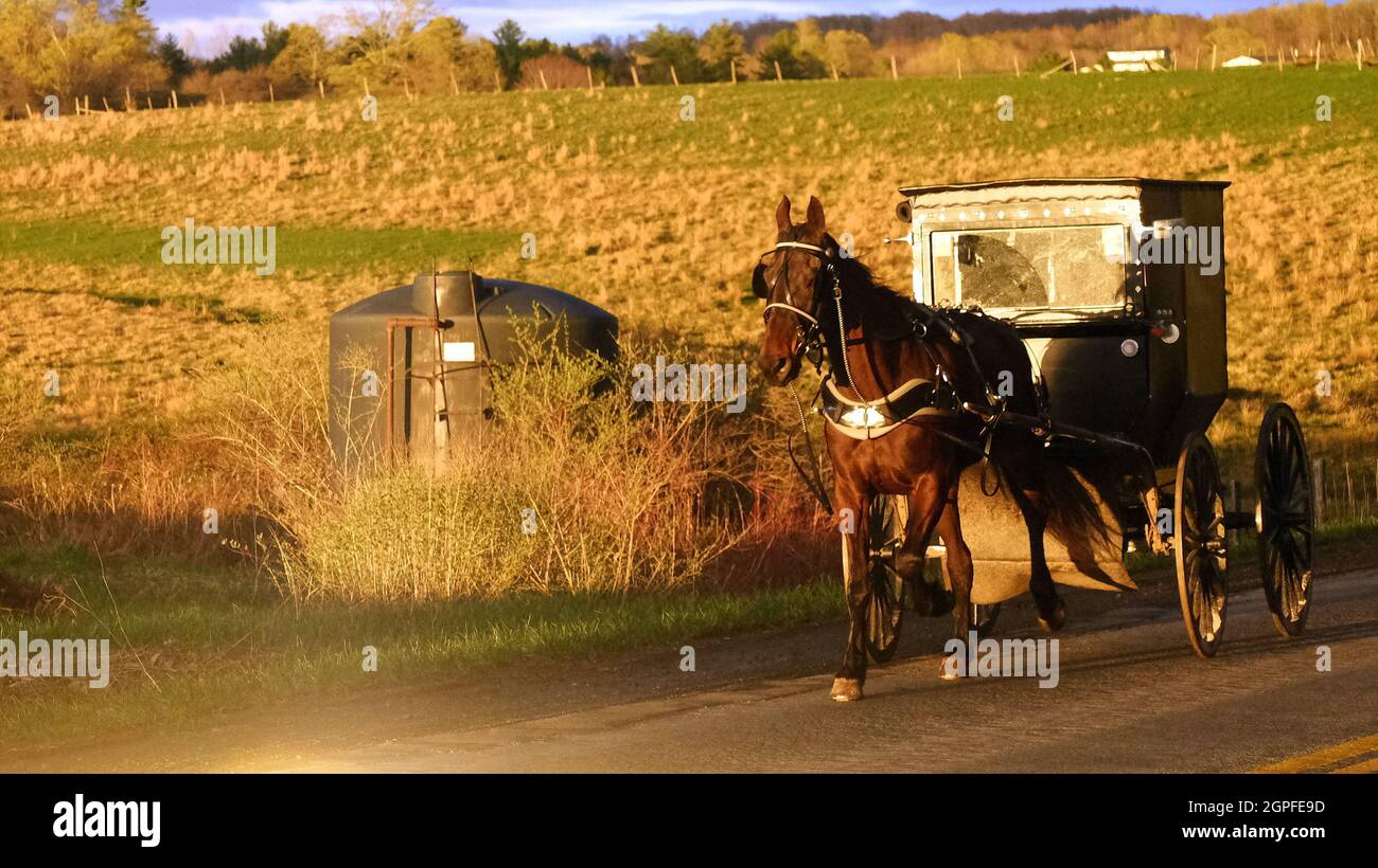 Amish farms hi-res stock photography and images - Alamy