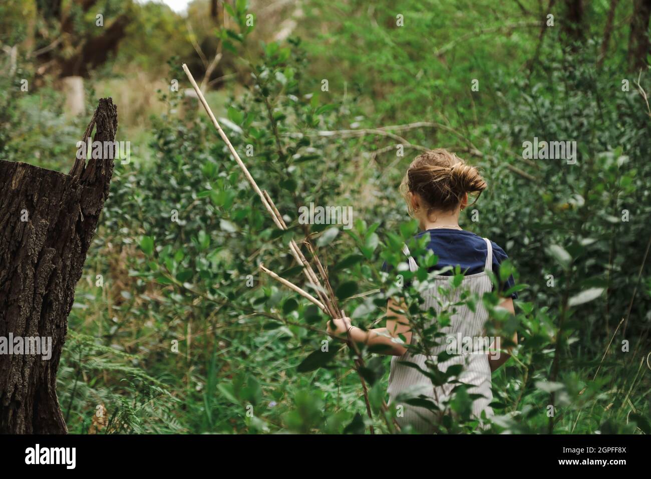 Large sticks hi-res stock photography and images - Alamy