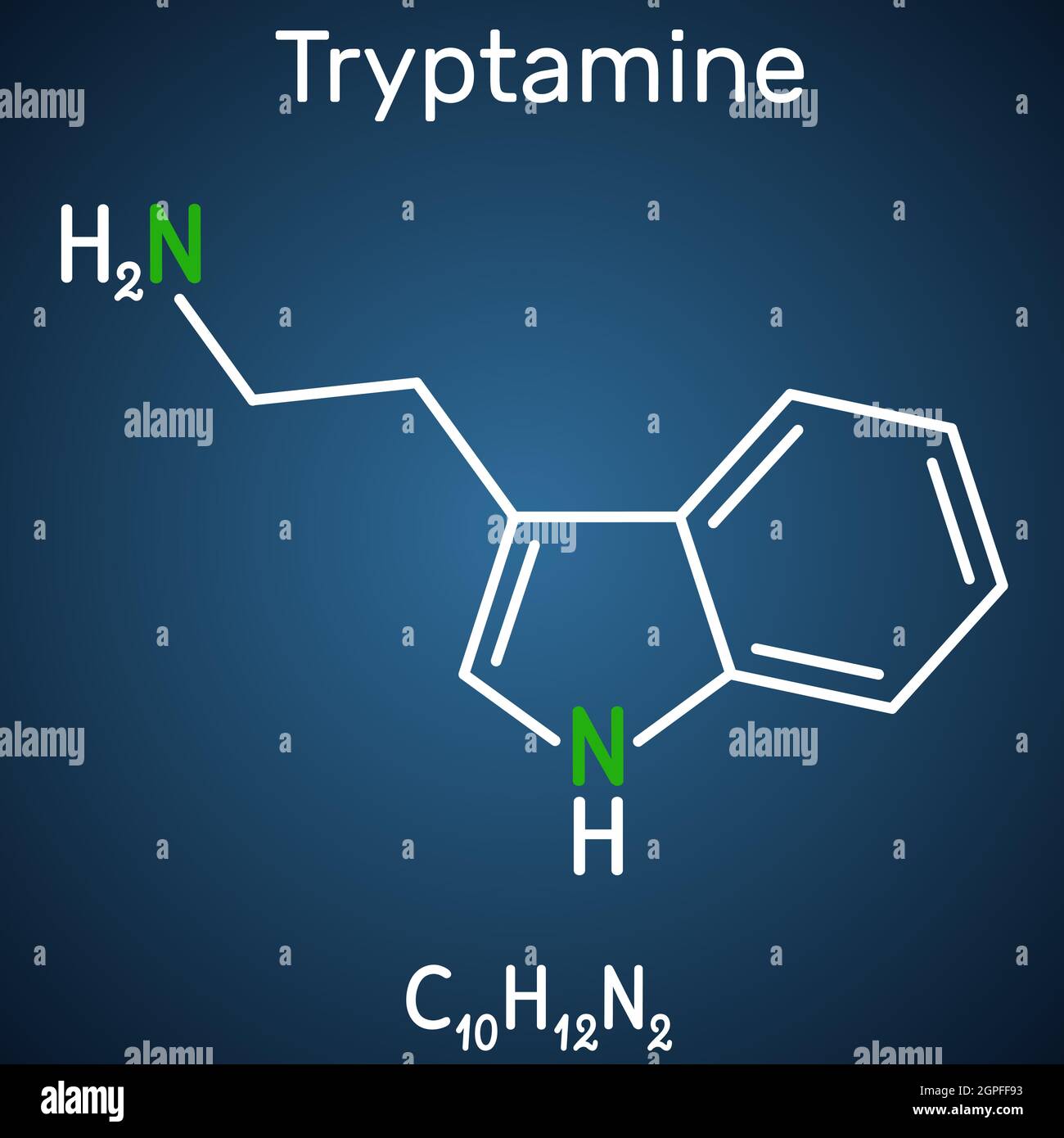 Tryptamine molecule. It is alkaloid, aminoalkylindole. Structural ...
