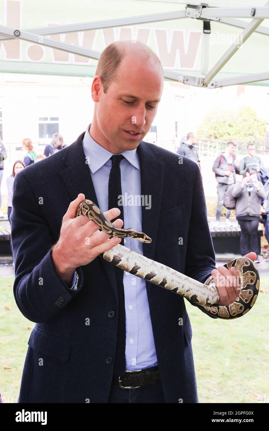 The Duke of Cambridge handles a snake during a tour of Magee University ...