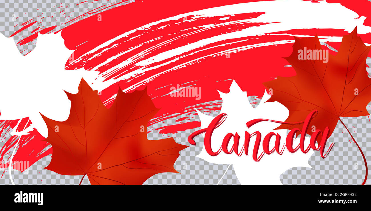 Grunge brush stroke with Canada national flag. Canada Day background with maple leaves in red ...