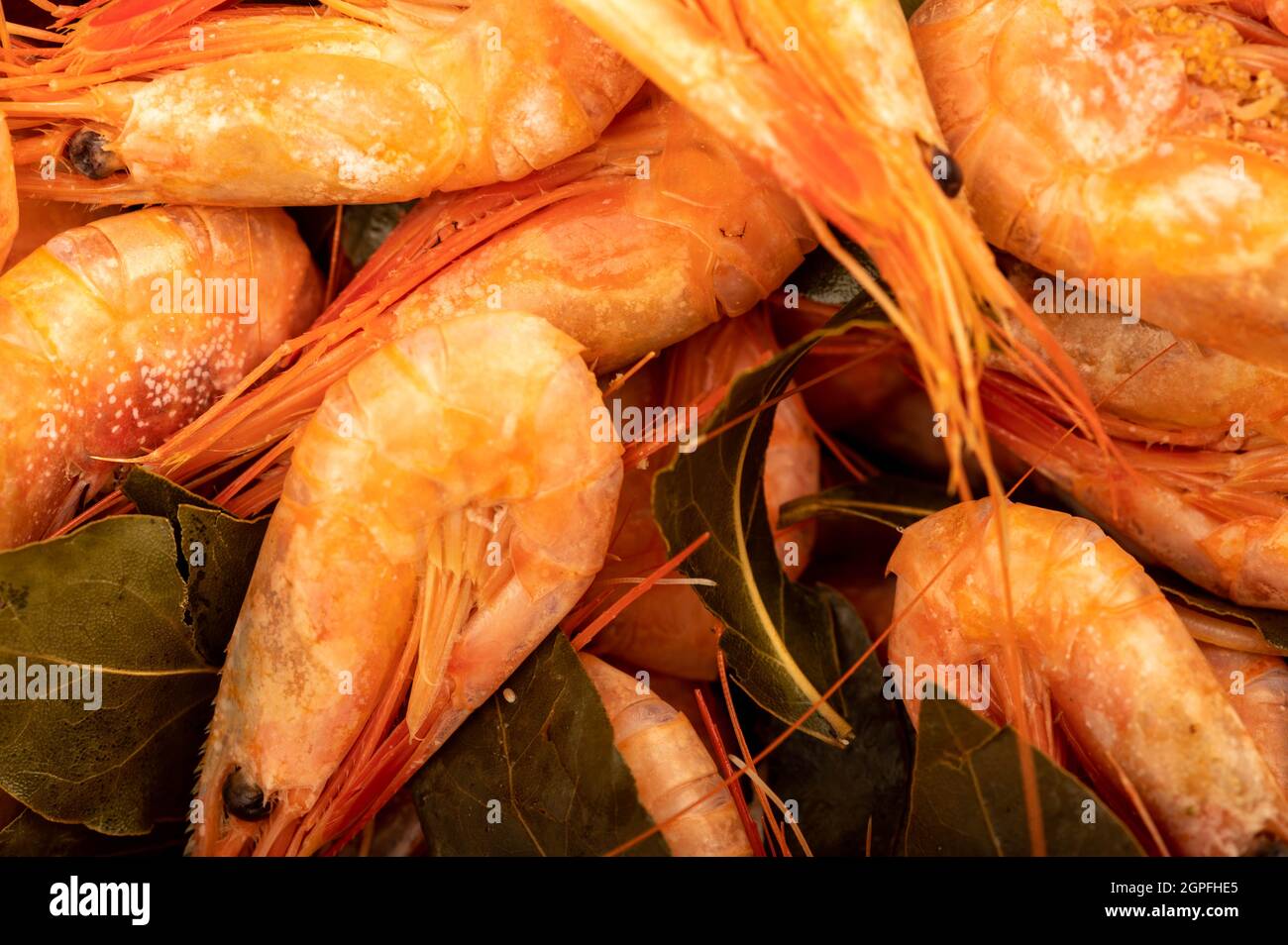 Atlantic shrimp cooked with allspice and bay leaf close-up, surface ...