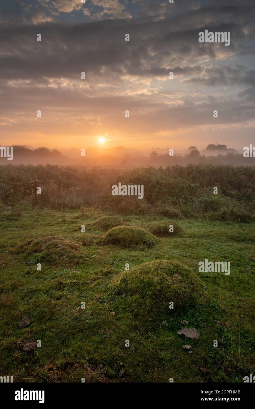 Sunrise over misty Croxley Common Moor park, Hertfordshire, UK Stock ...