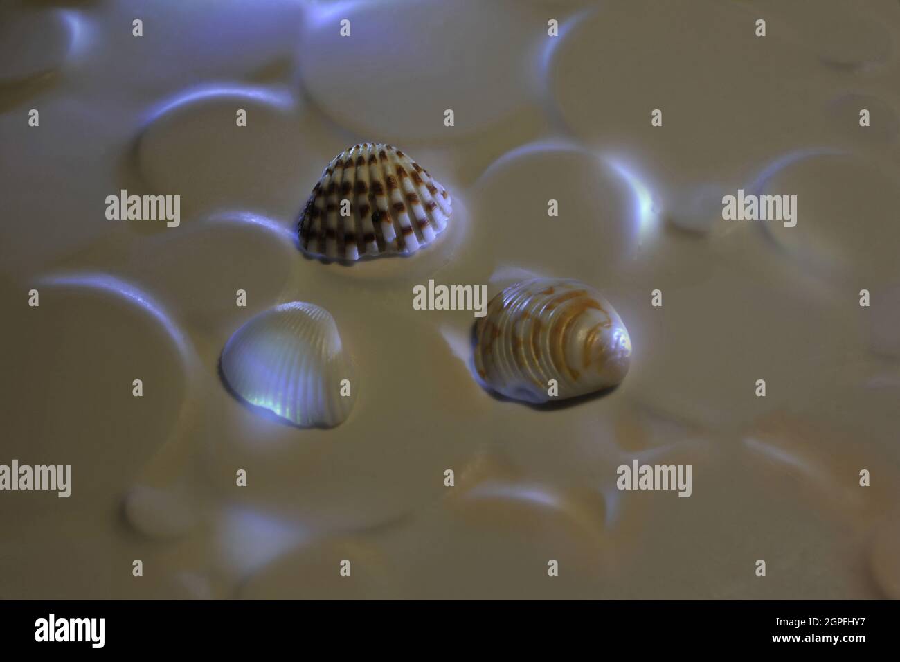 Inanimate sea objects hi-res stock photography and images - Alamy