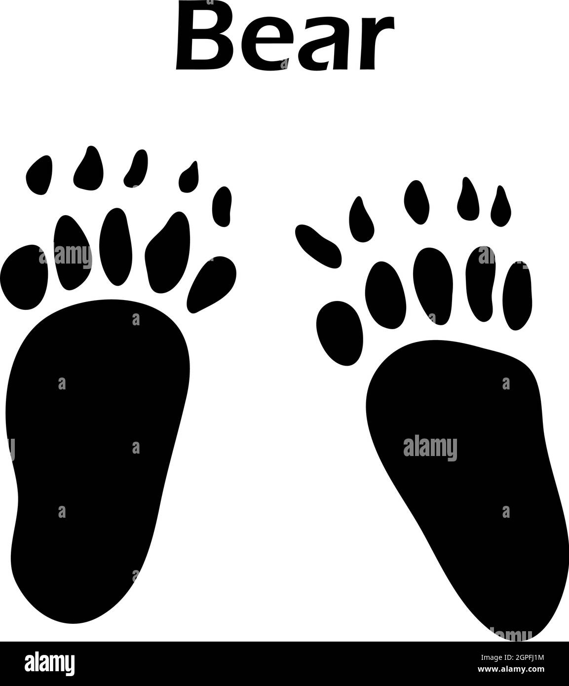 Bear footprint hi-res stock photography and images - Alamy