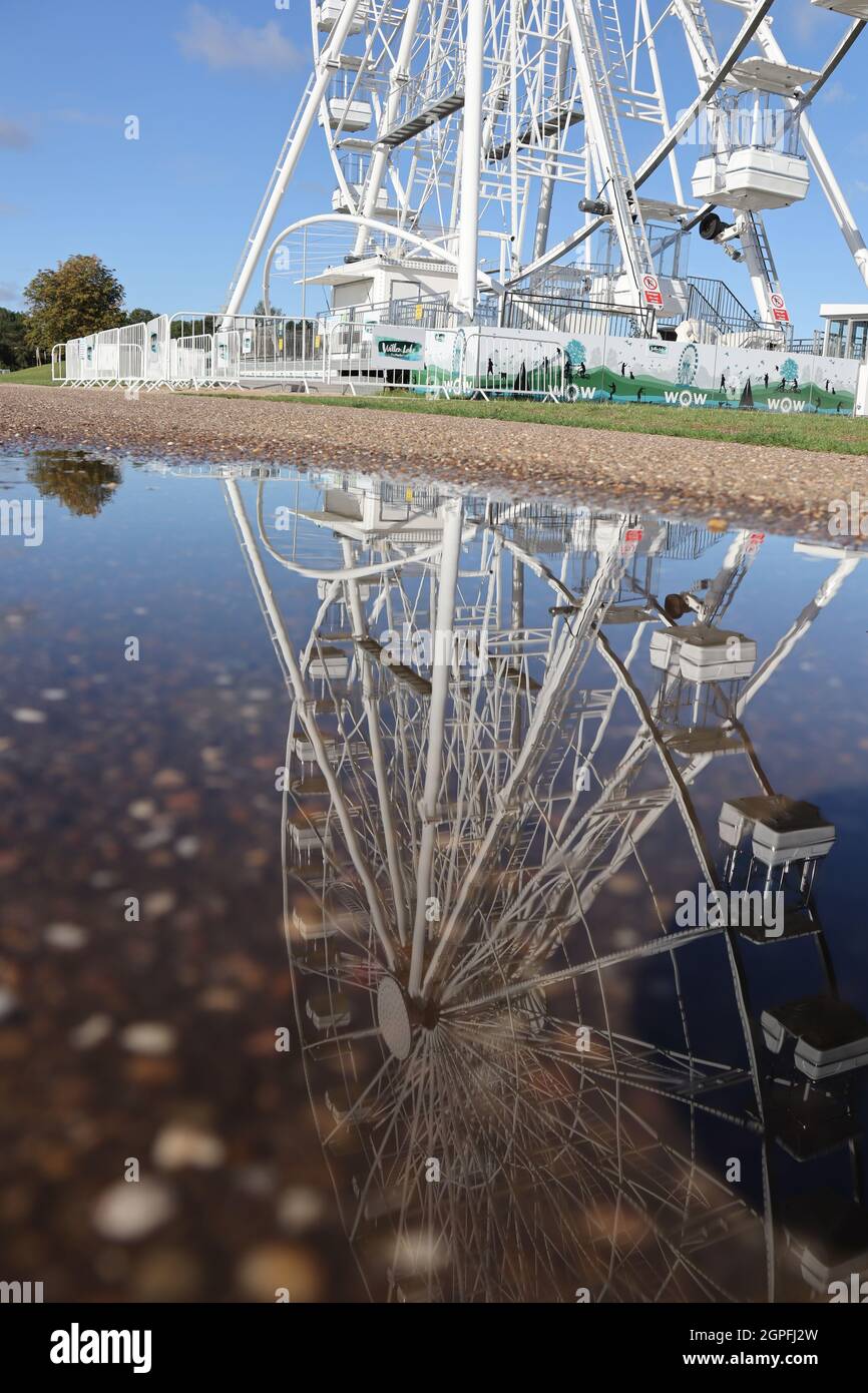 Observation Wheel Reflection in a Puddle on the pavement Stock Photo ...