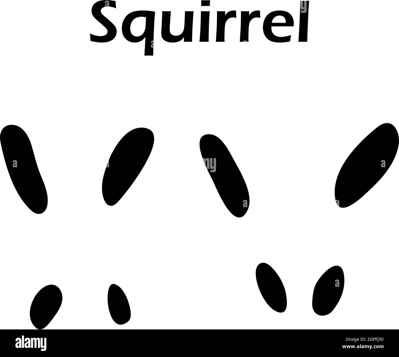 Printable Squirrel Track