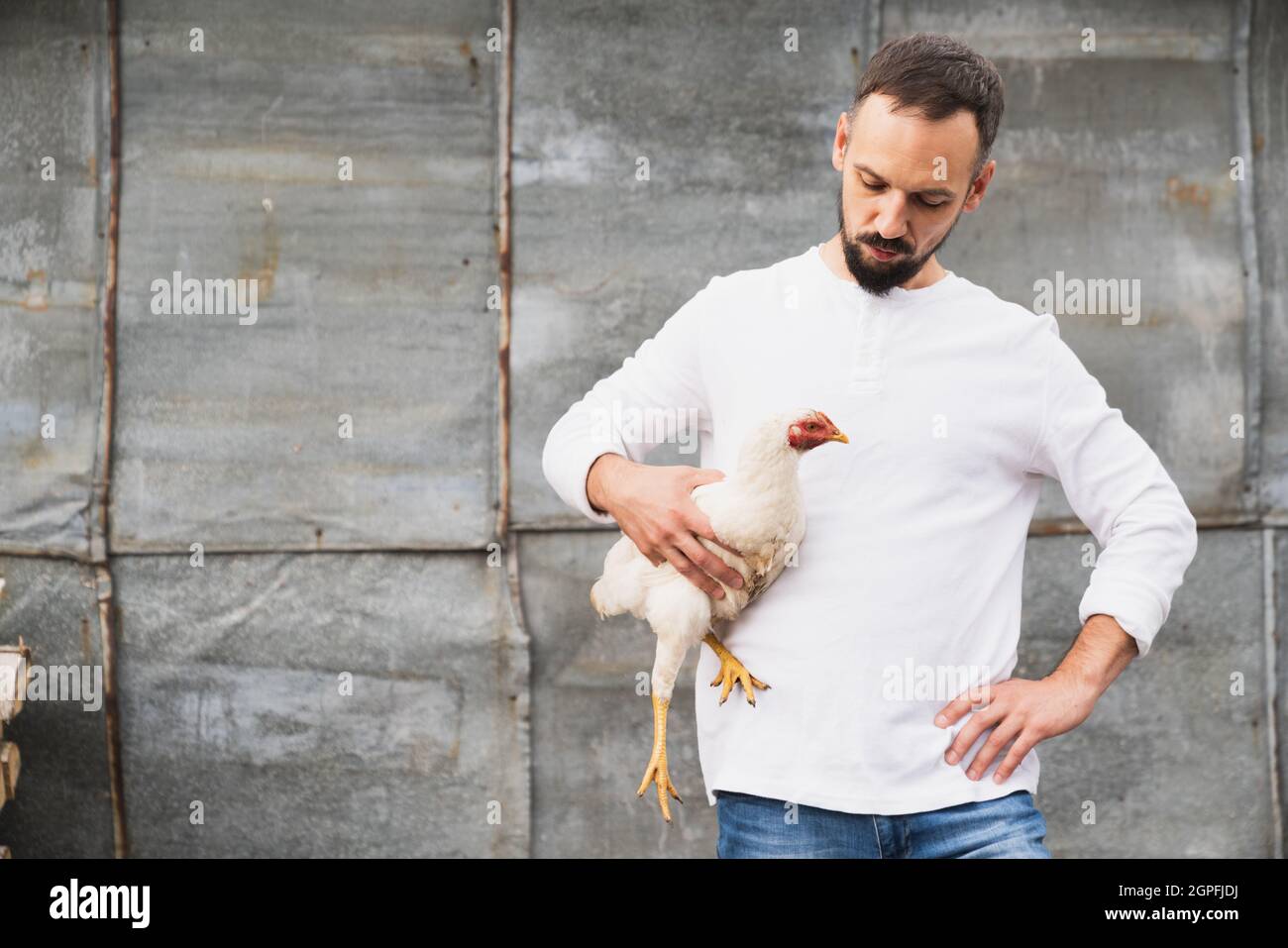 Farmer holds the chicken in his arms and looks at it Stock Photo - Alamy