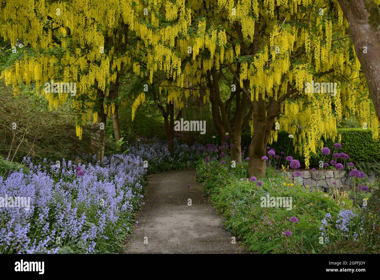 Pathway through colorful spring botanical garden Stock Photo - Alamy