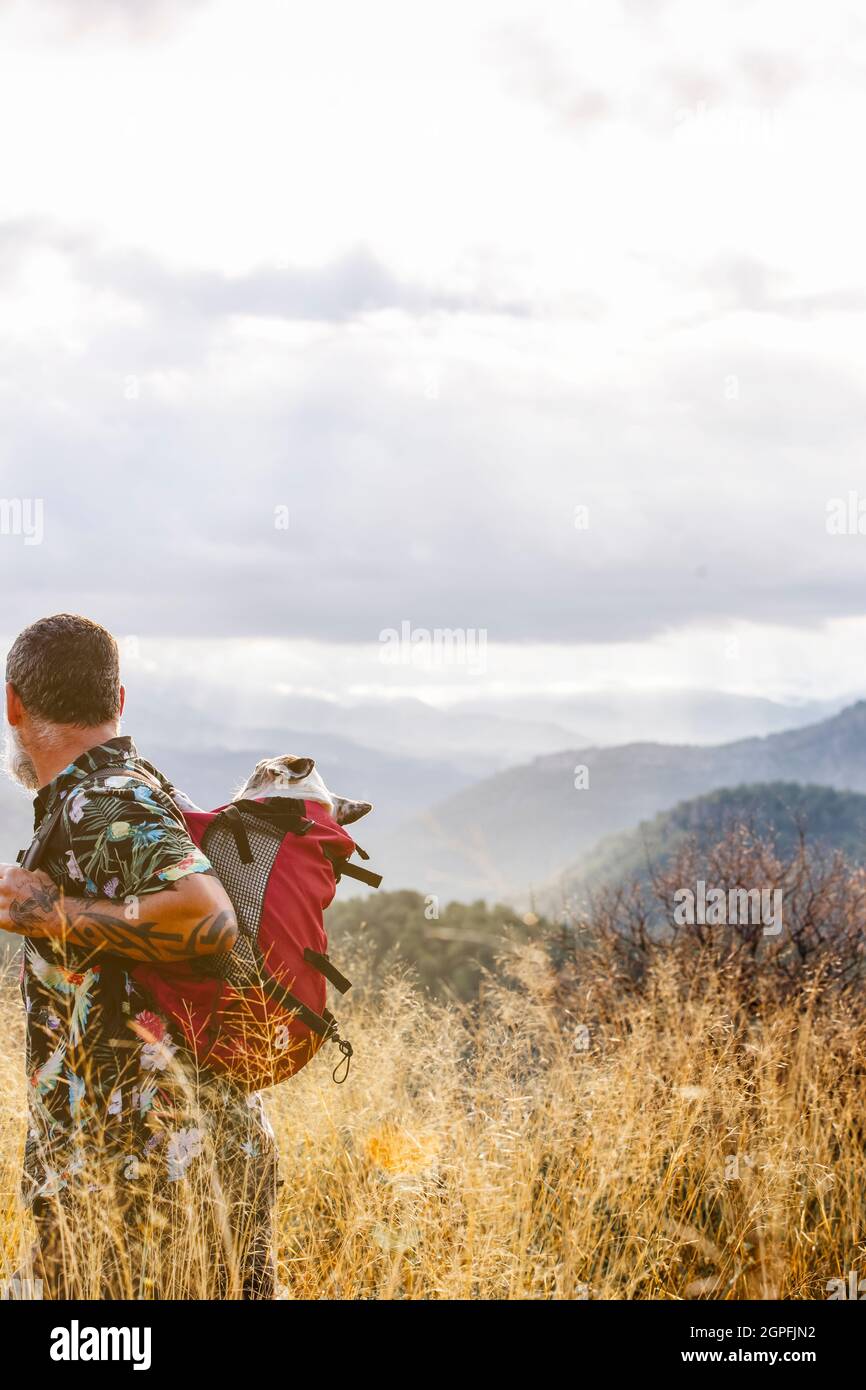 Rear profile view hi-res stock photography and images - Alamy