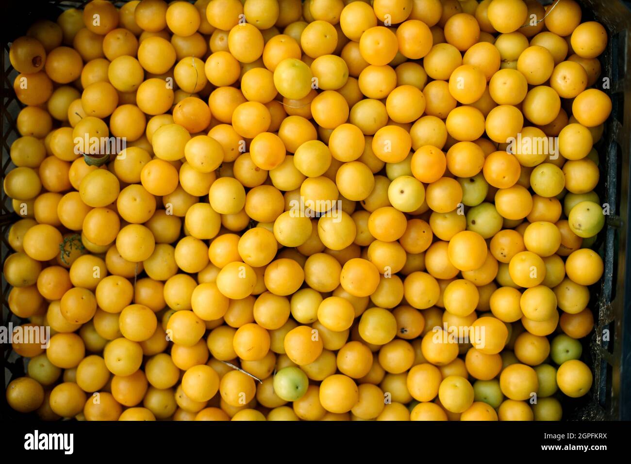 mini yellow plums in box Stock Photo - Alamy