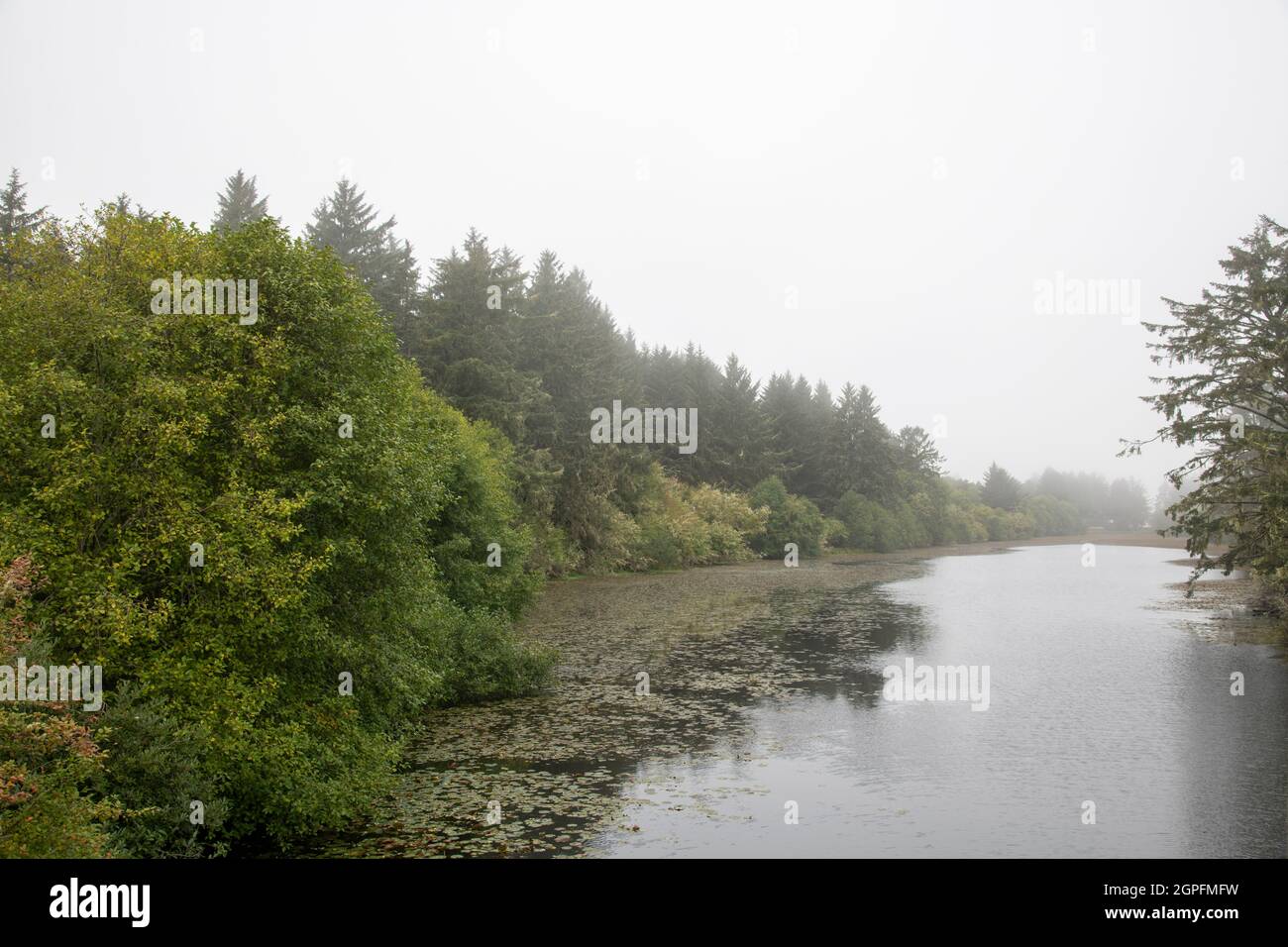 Misty Foggy Morning River Bank Landscape Stock Photo - Alamy