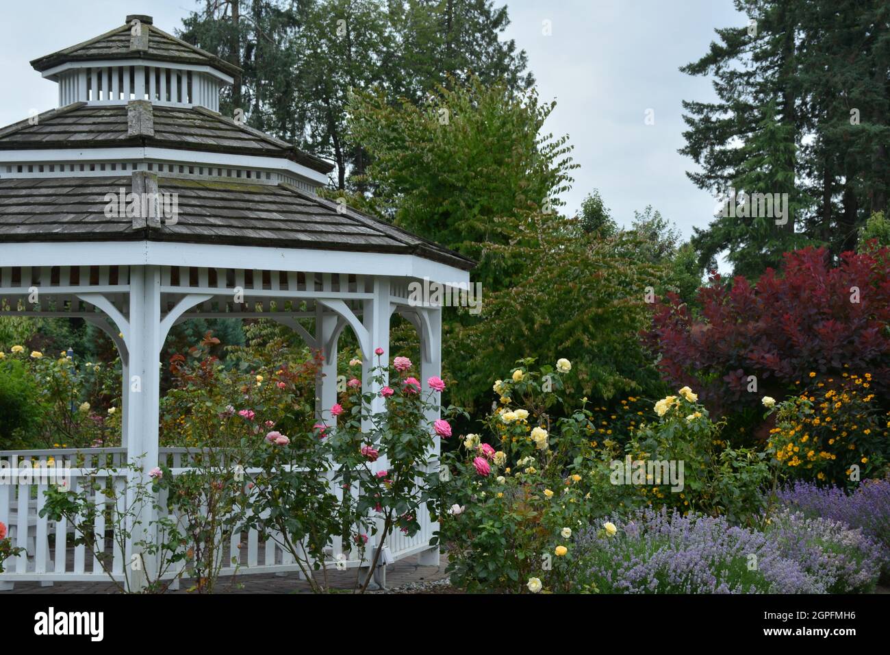Rose Garden Gazebo Rose Garden With Beautiful Gazebo On The Lake Side