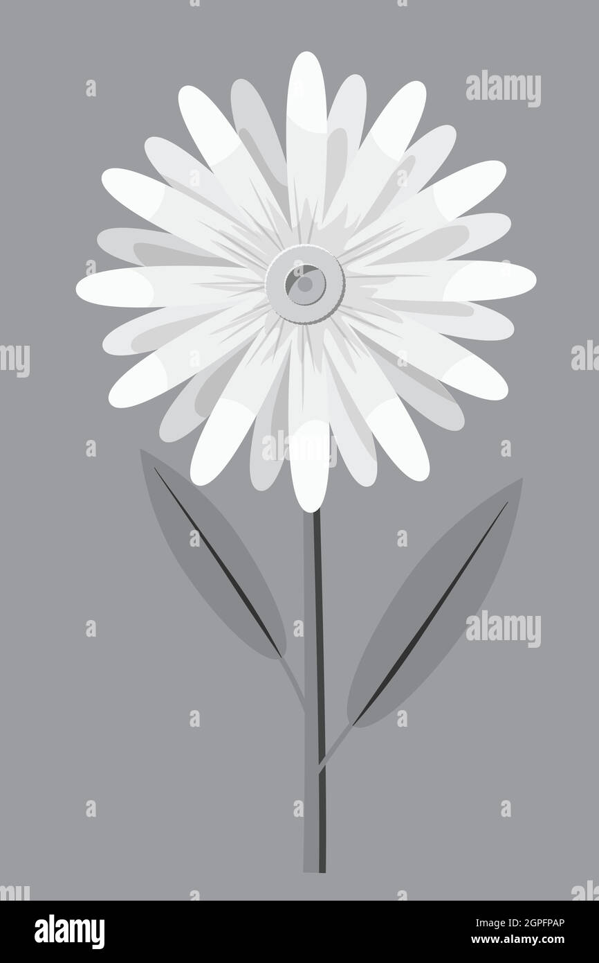 White and gray flower Stock Vector Images - Alamy