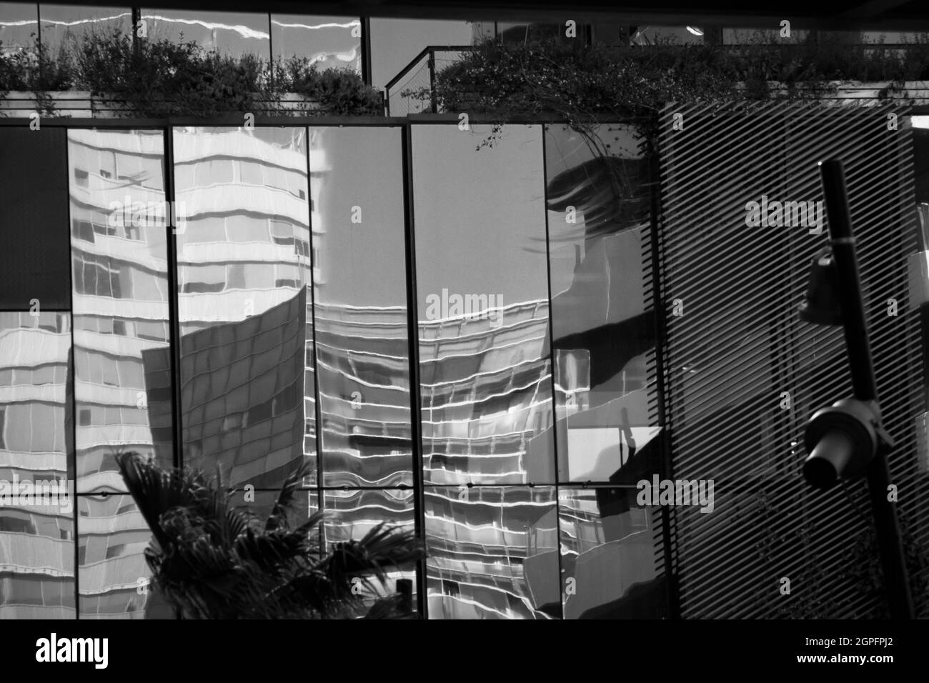 Modern building detail, reflections.on glass windows Stock Photo - Alamy
