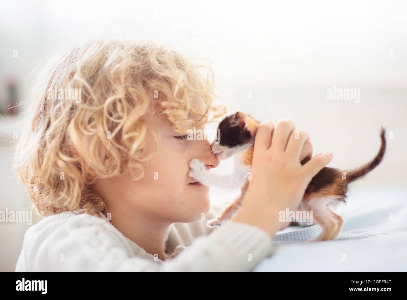 Child playing with baby cat. Little boy looking at newborn kitten. Kids ...