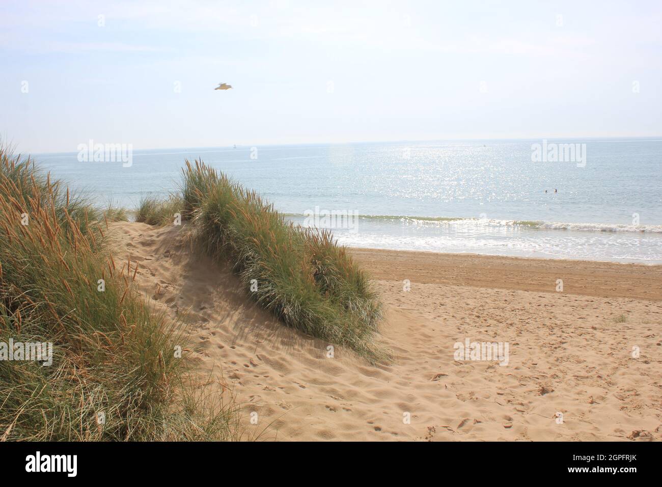 Camber sands East Sussex UK - view of Camber Sand dunes with sky and ...