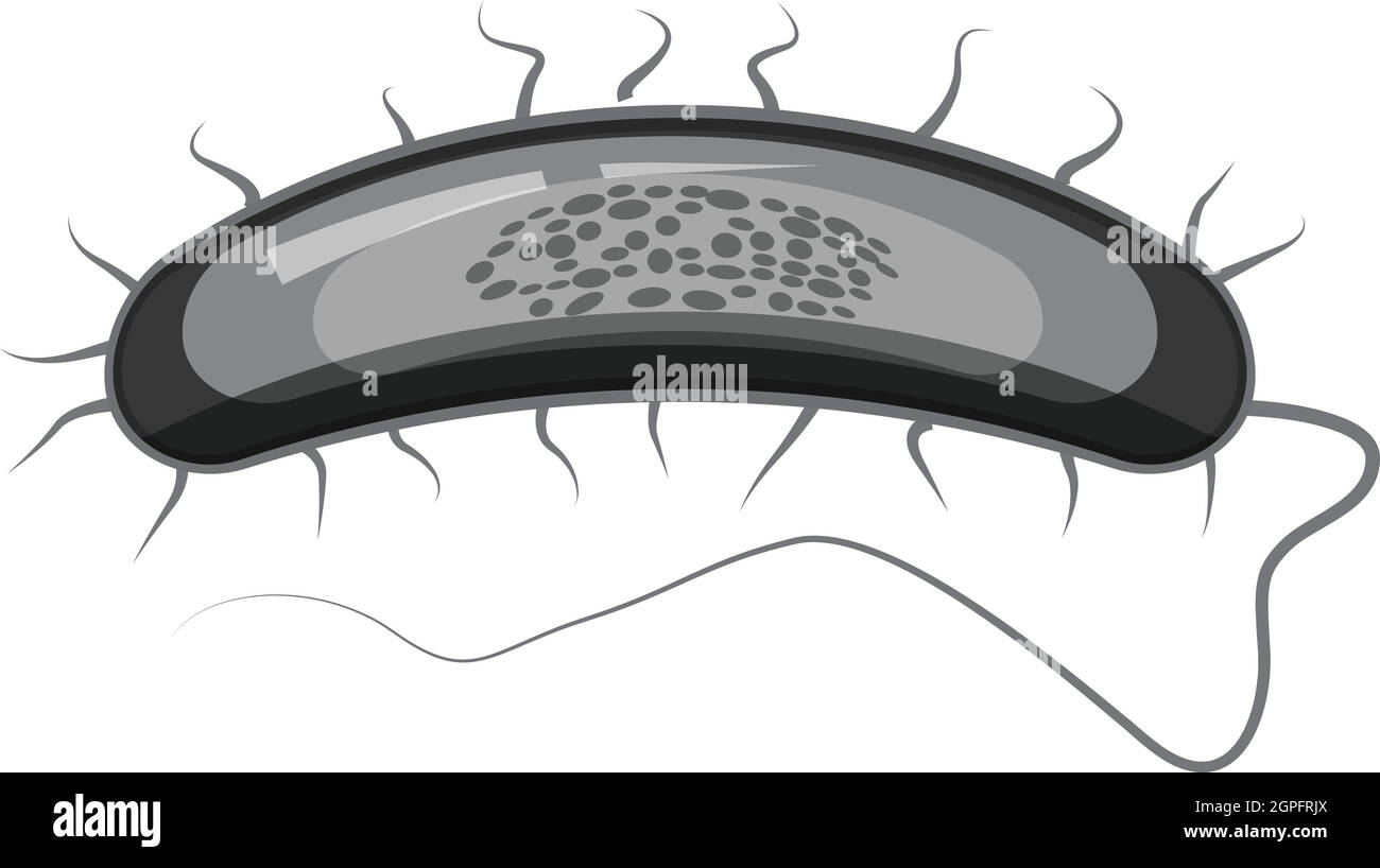 Bacteria or virus icon, gray monochrome style Stock Vector Image & Art ...