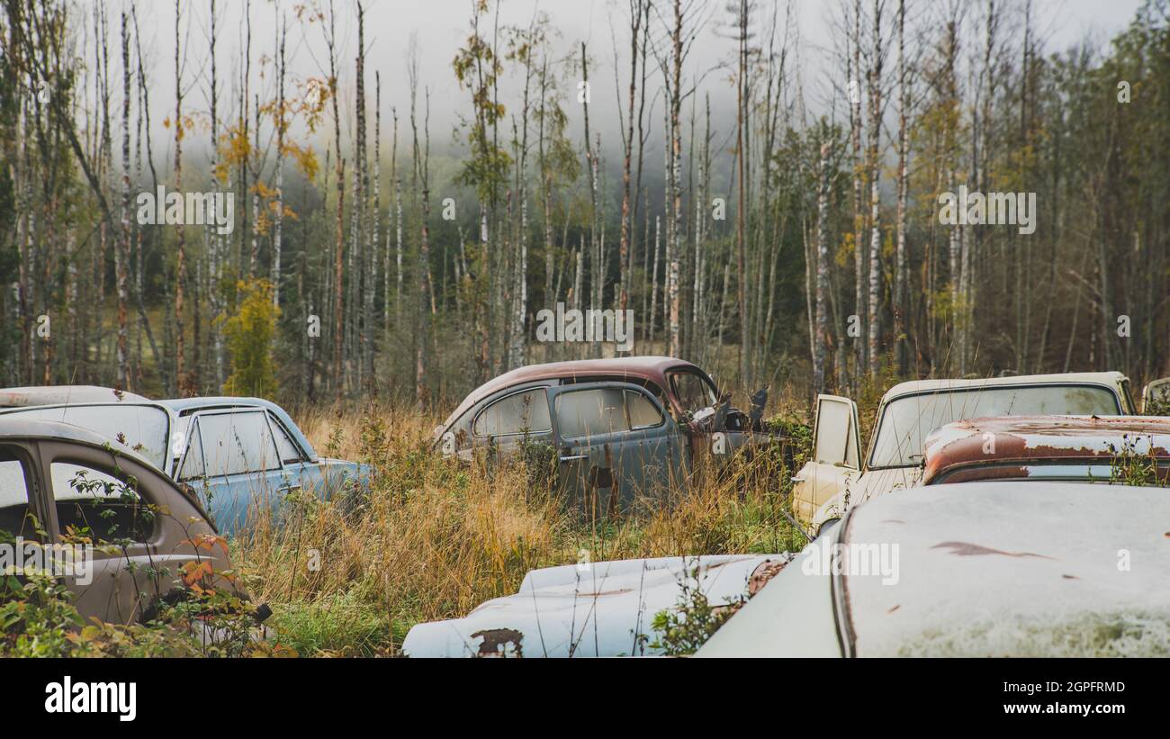 Rotten cars hi-res stock photography and images - Alamy