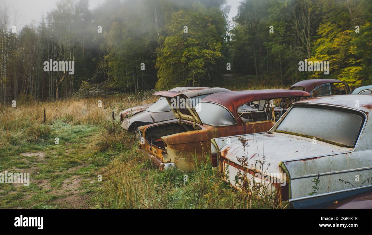 Rotten cars hi-res stock photography and images - Alamy