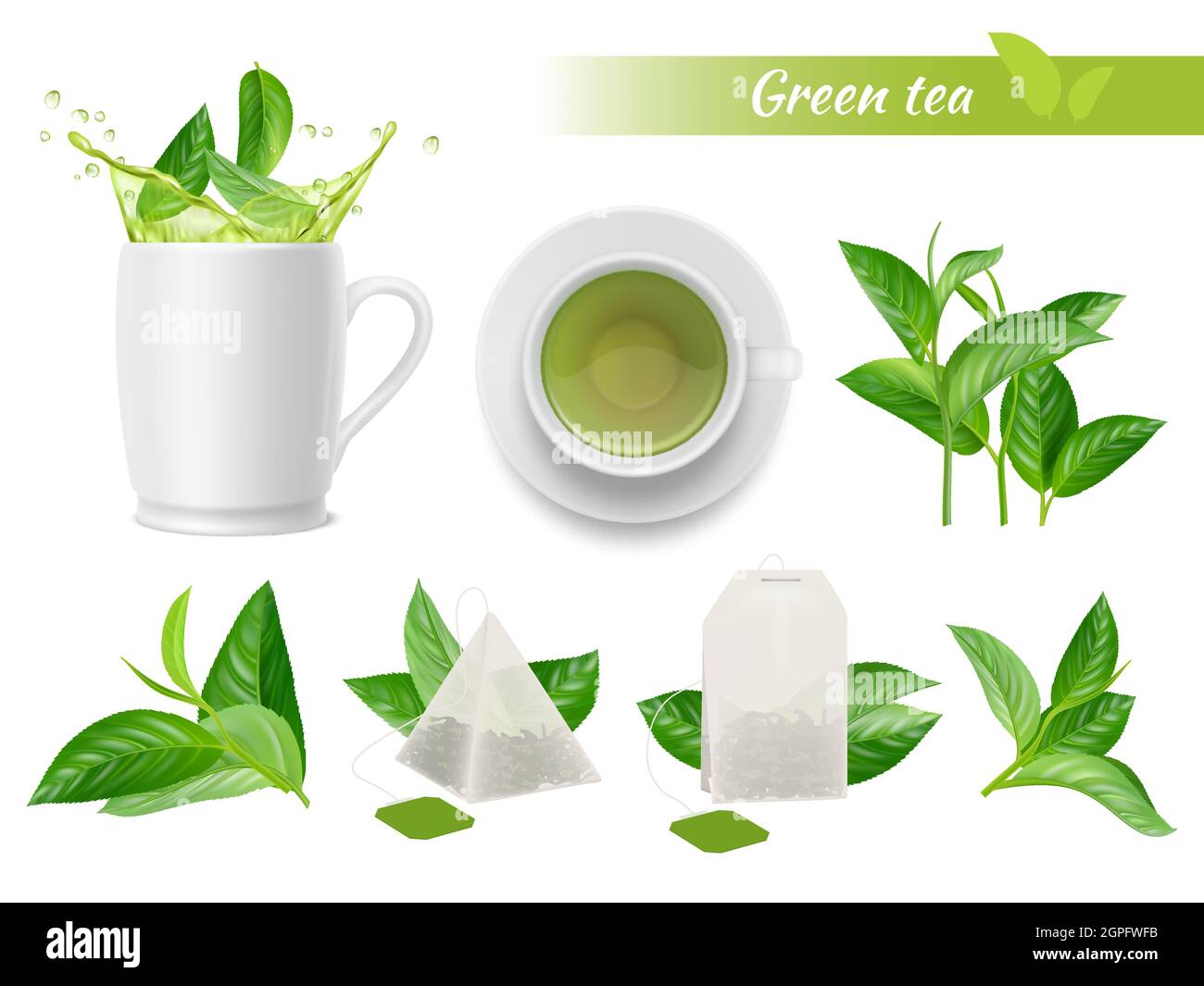 Hot tea realistic. Green leaves cups water splashes aromatic green tea ...