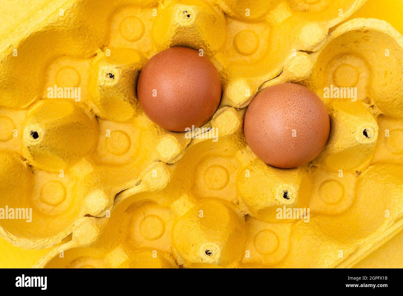 Cardboard egg box two hi-res stock photography and images - Alamy