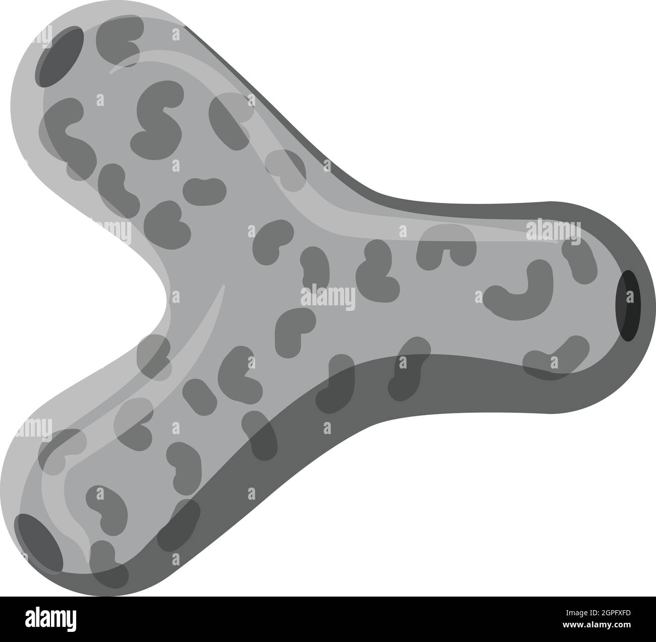 Gray laboratory Black and White Stock Photos & Images - Alamy