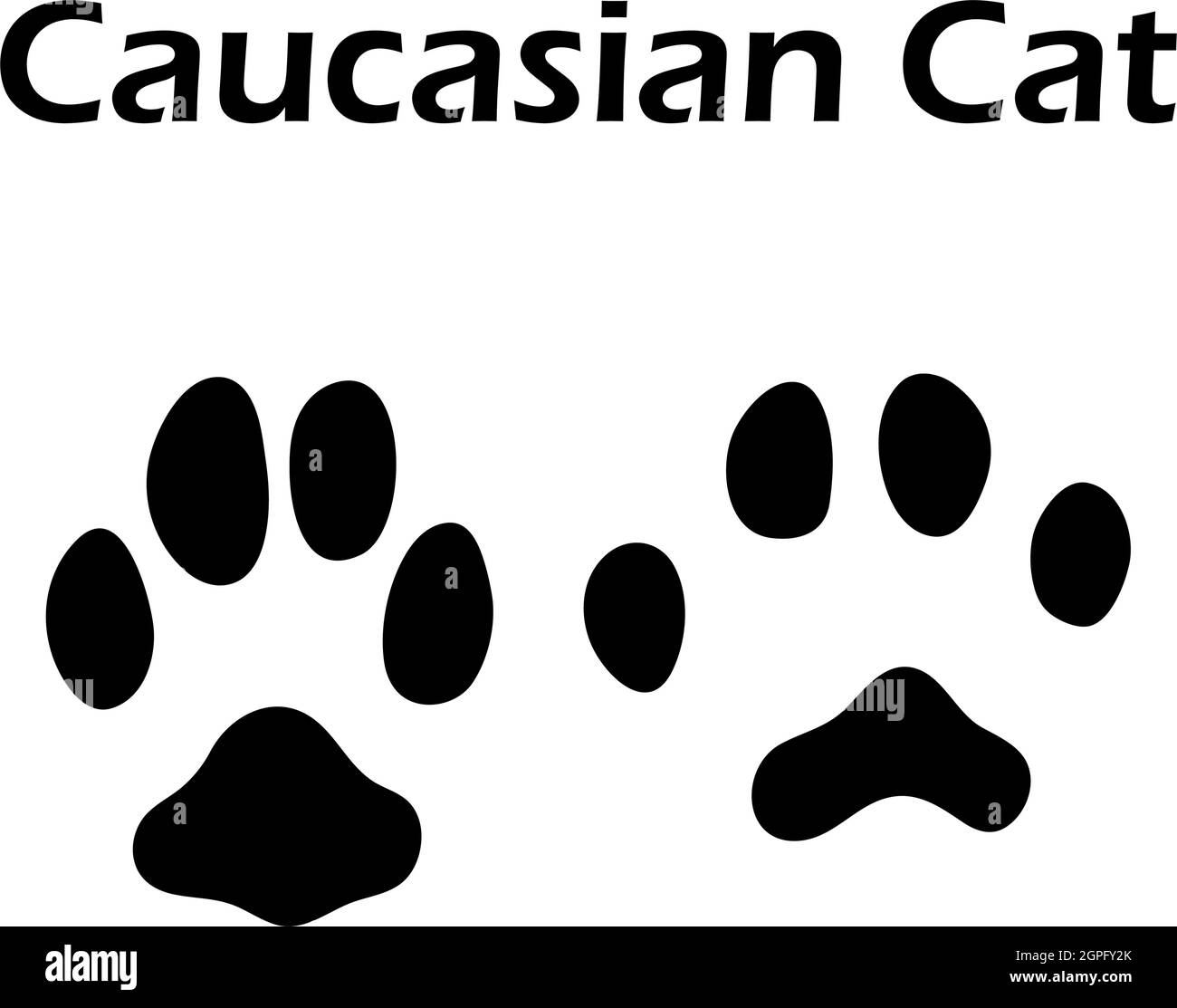 Caucasian Cat Footprint Stock Vector Image & Art - Alamy