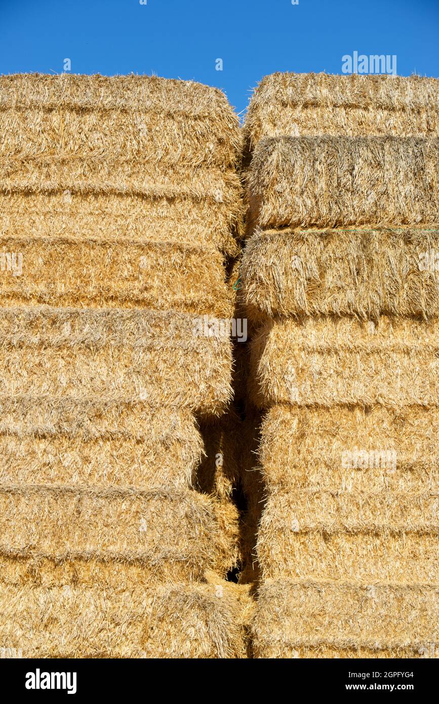 Straw bales stacked and blue sky Stock Photo - Alamy