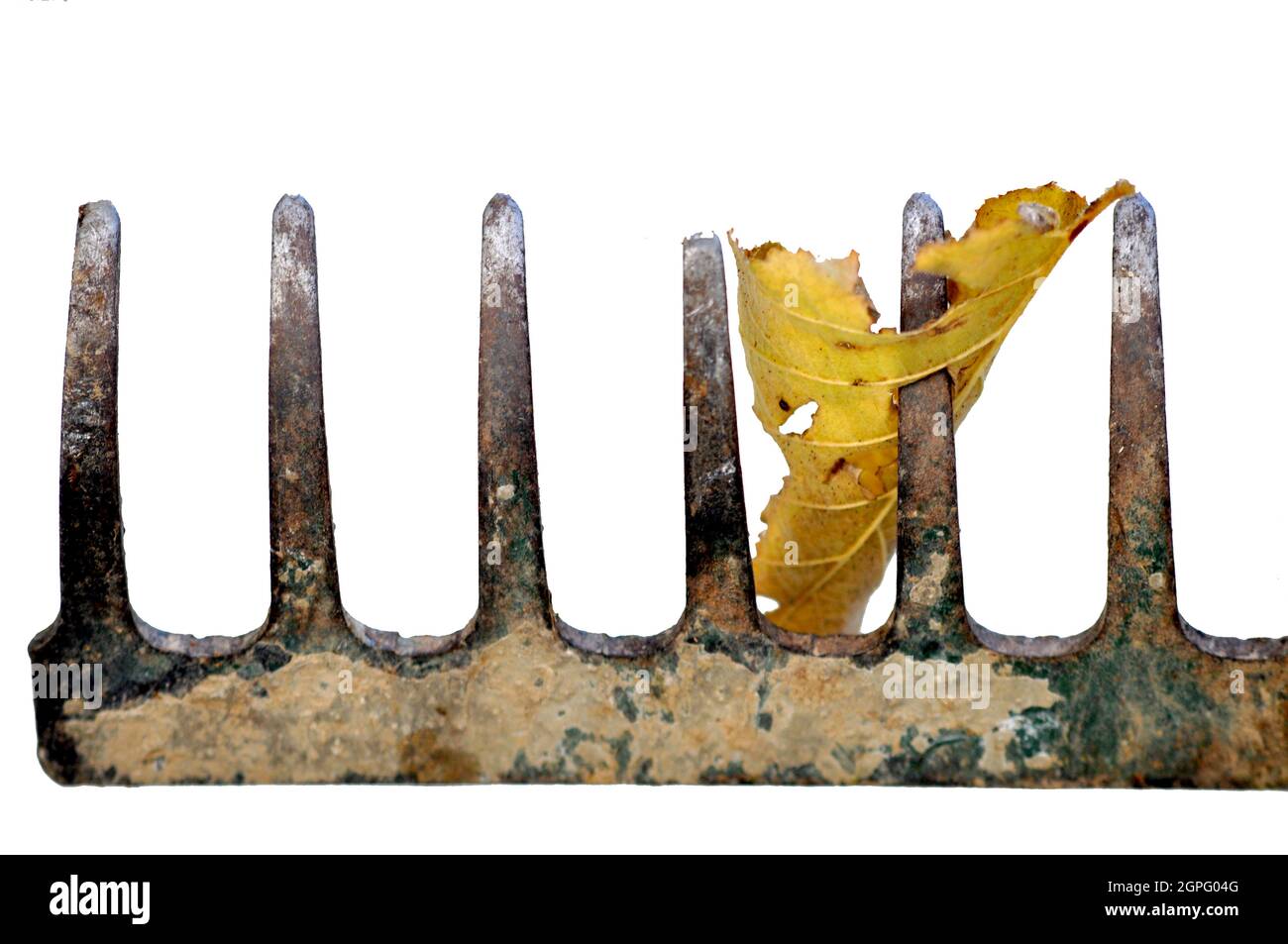 Rake and scrape hi-res stock photography and images - Alamy