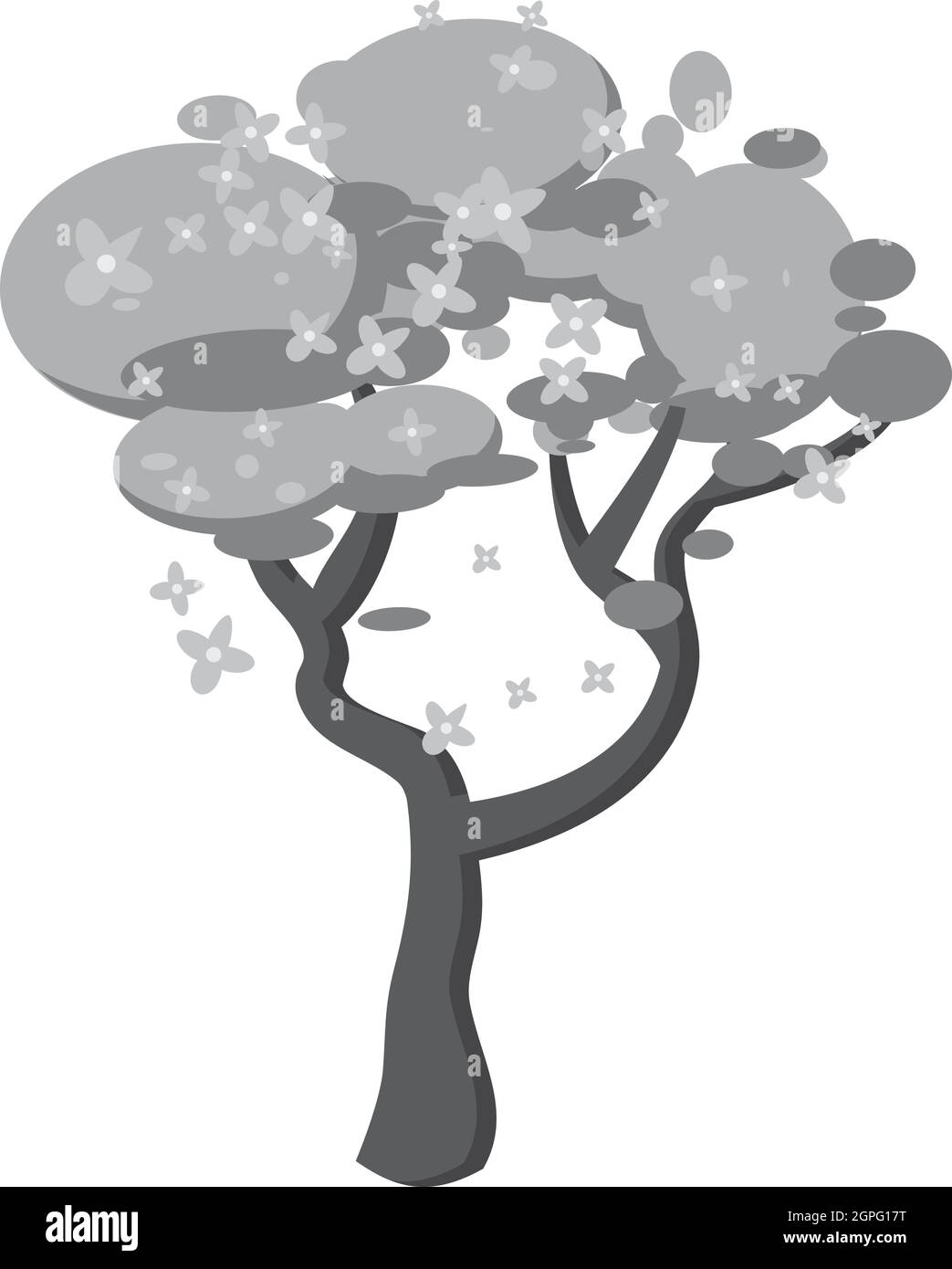 Sakura blooming cherry branch Black and White Stock Photos & Images - Alamy