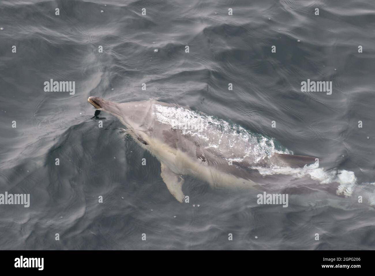 Sequence of 7 photographs hi-res stock photography and images - Alamy