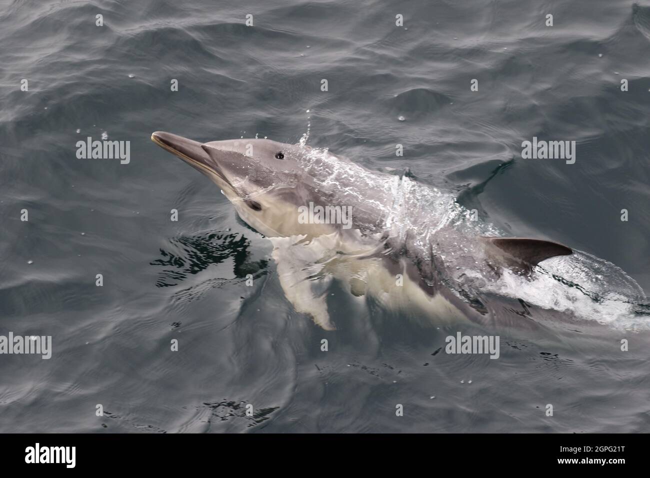 Sequence of 7 photographs hi-res stock photography and images - Alamy