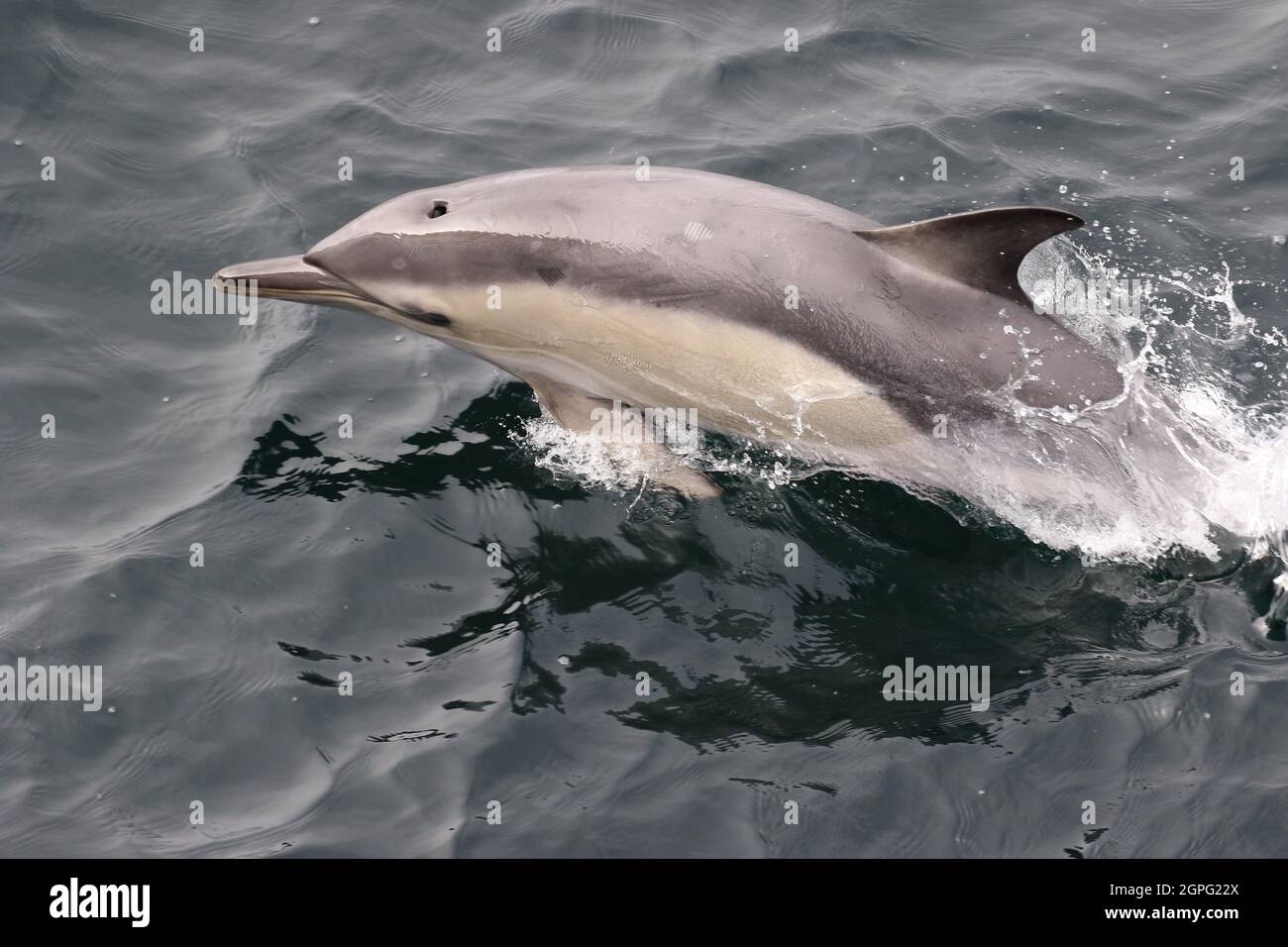 Sequence of photographs hi-res stock photography and images - Alamy