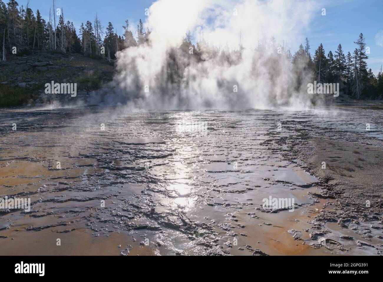Grand Geyser in the early morning sunshine in Yellowstone National Park ...