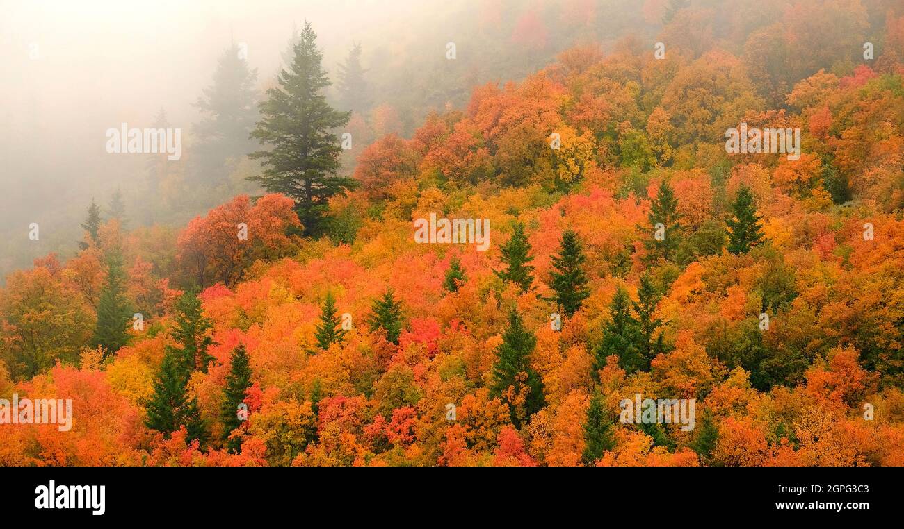 Misty mountainside hillside hi-res stock photography and images - Alamy