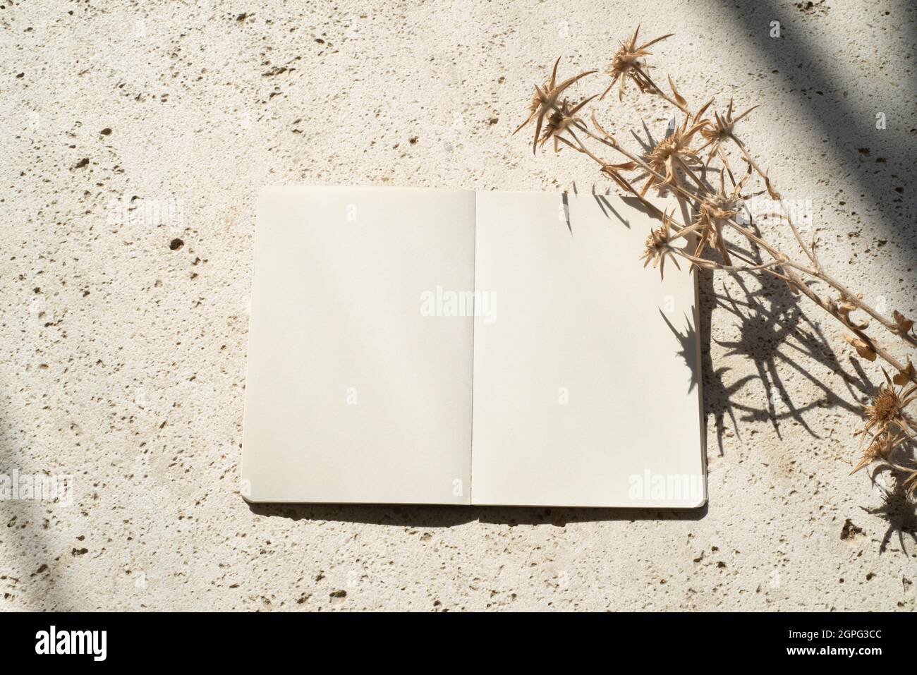 Autumn or winter wedding. Birthday stationery composition.Blank open ...