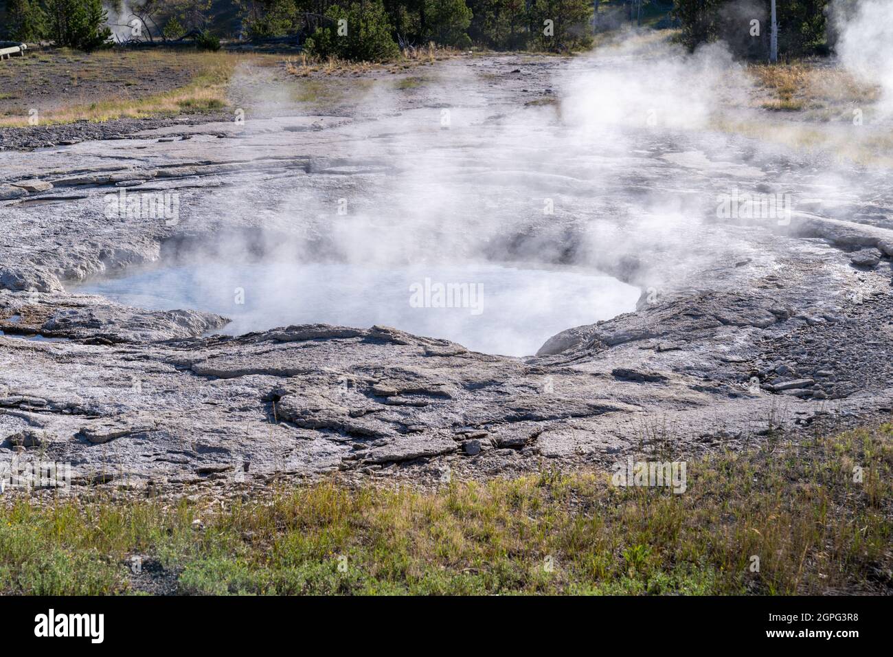 Spa Geyser in Yellowstone National Park Stock Photo - Alamy