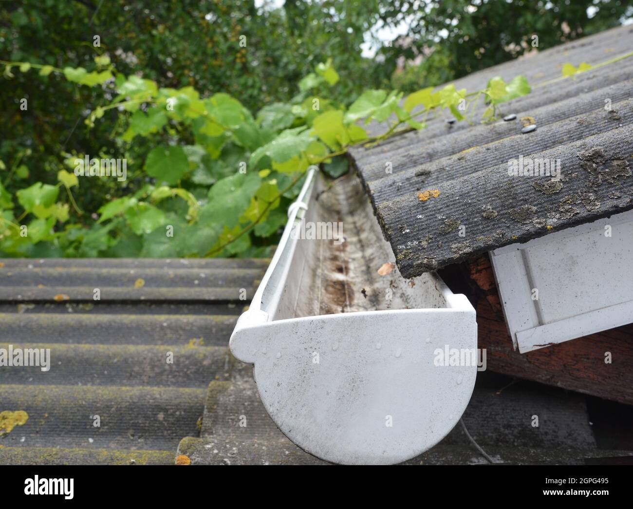 Rain gutter and asbestos roof. Close up on plastic roof gutter Stock ...