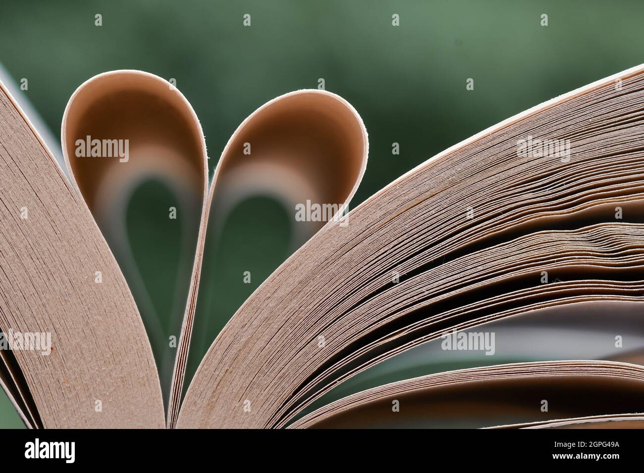 Open book heart illustration hi-res stock photography and images - Alamy