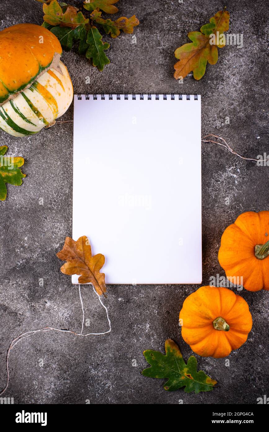Various decorative pumpkins. Autumn harvest Stock Photo - Alamy