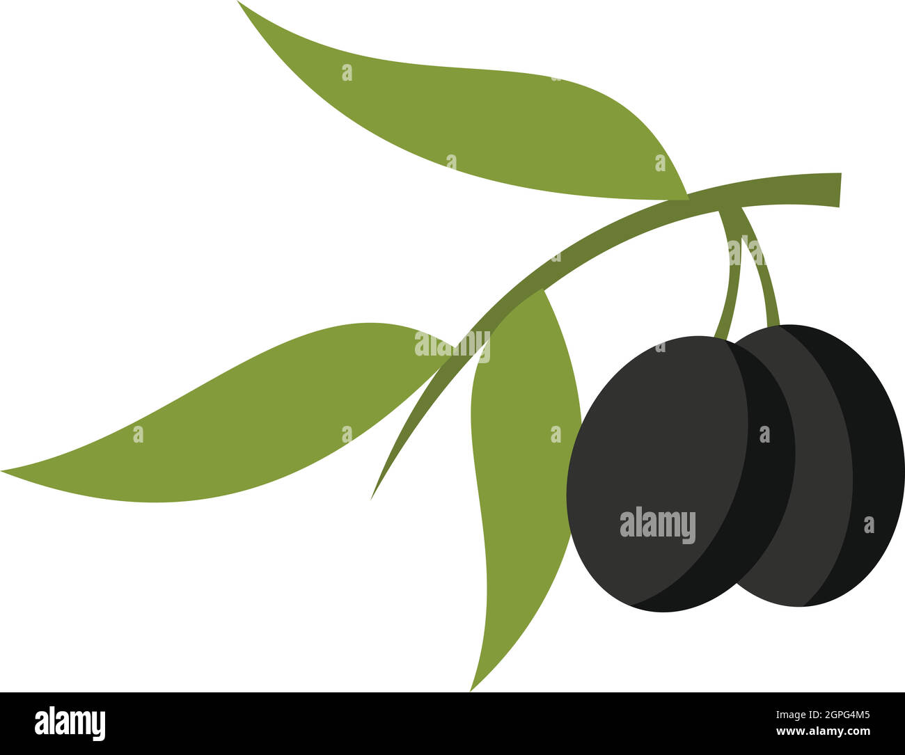 Olive green cartoon vector Stock Vector Images - Alamy