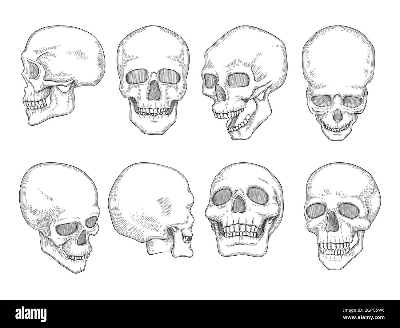 Skulls. Human anatomy bones head skull mouth and eyes vector hand drawn ...