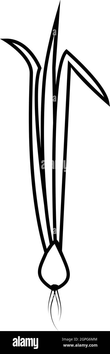 Shallots fresh Stock Vector Images - Alamy